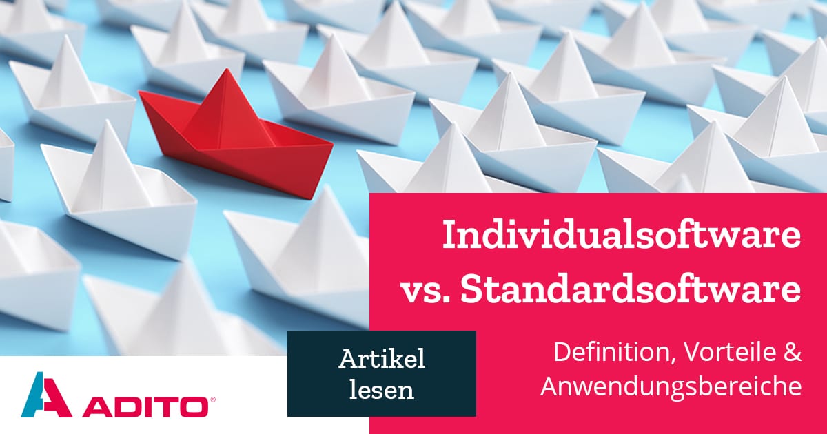 Individualsoftware versus Standardsoftware: Was ist der Unterschied?